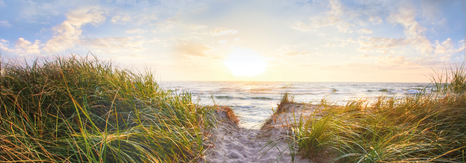 - New Tides Counseling